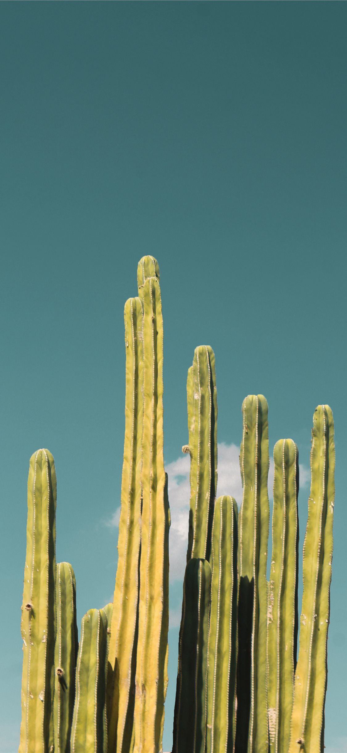 Phoenix Arizona Desert iPhone Wallpapers - Wallpaper Cave