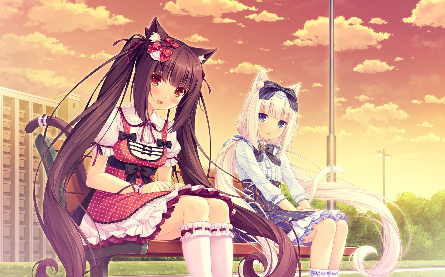 Nekopara Chocola Wallpapers - Wallpaper Cave