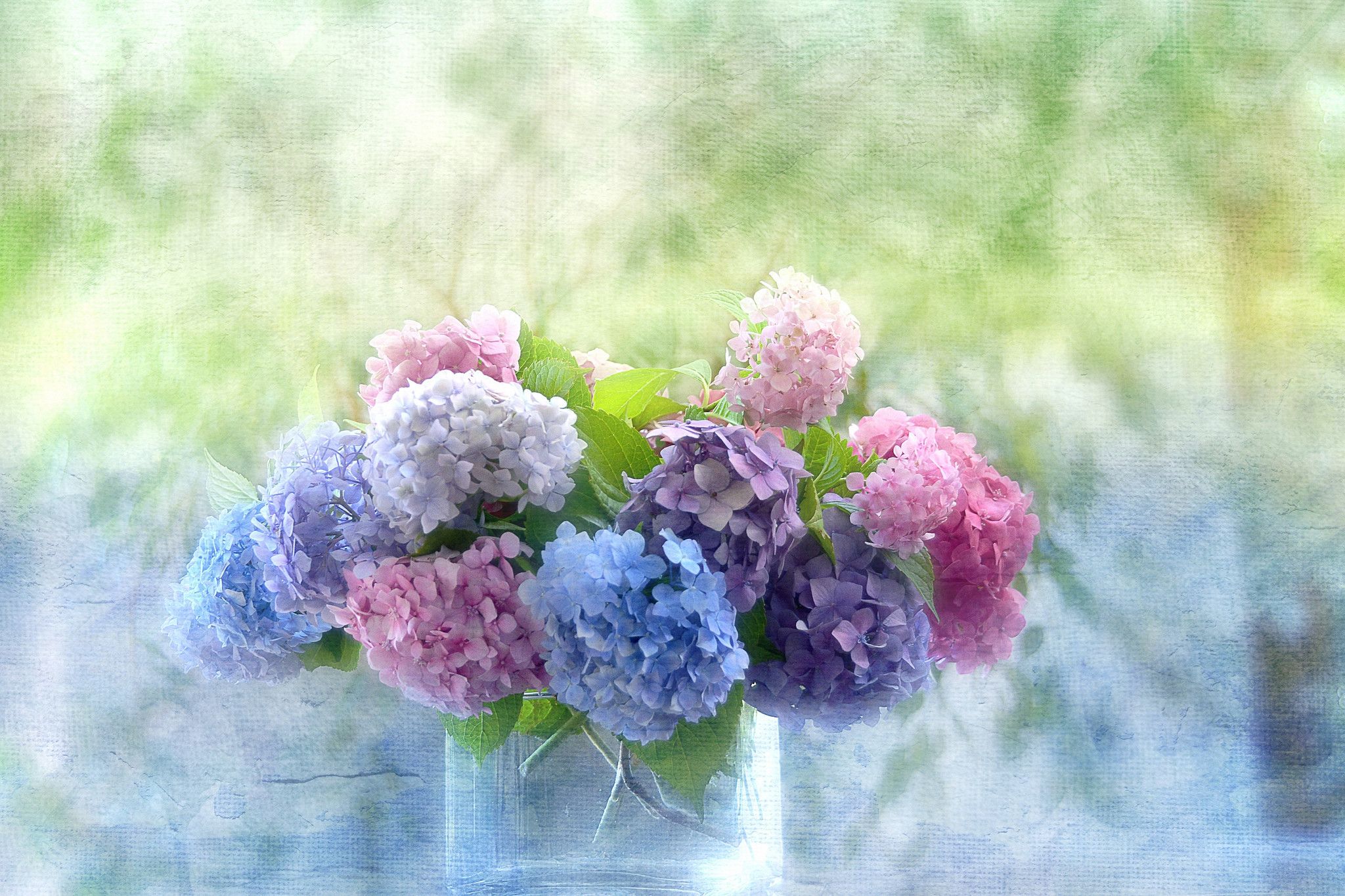 Hydrangea Computer Wallpapers - Wallpaper Cave
