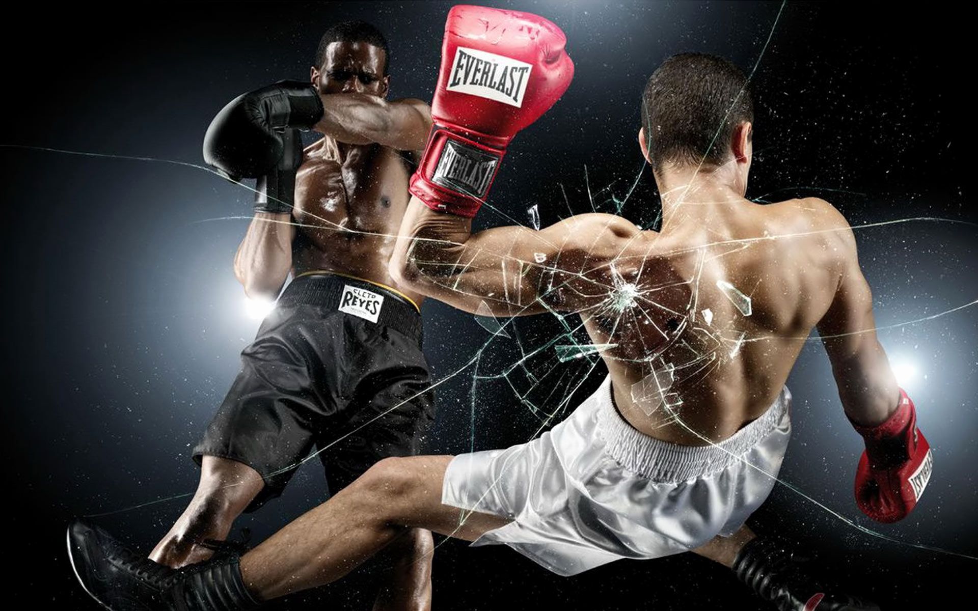 Boxer Branded Wallpapers - Wallpaper Cave