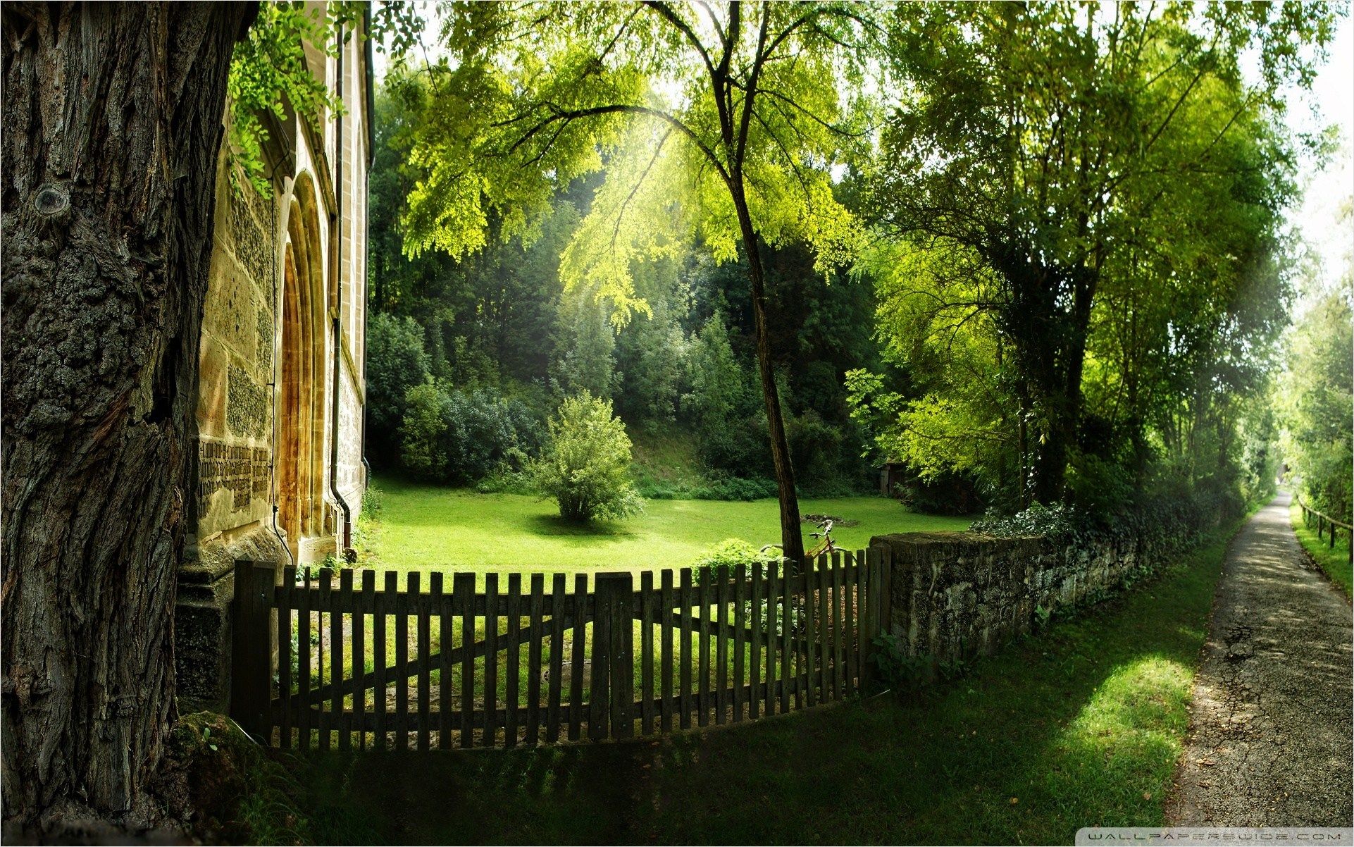 Woods In Summer Wallpapers - Wallpaper Cave