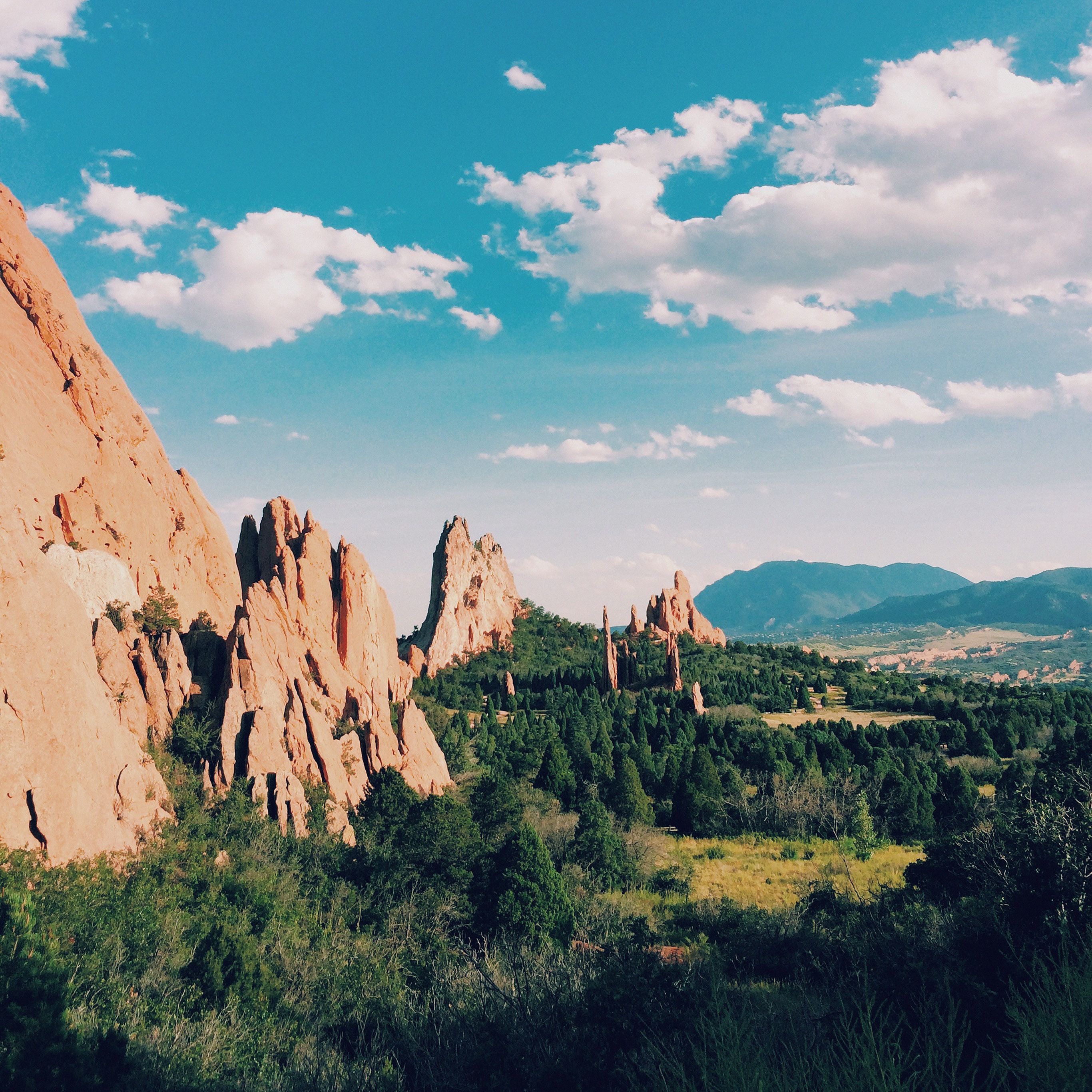 Woods In Summer Wallpapers - Wallpaper Cave