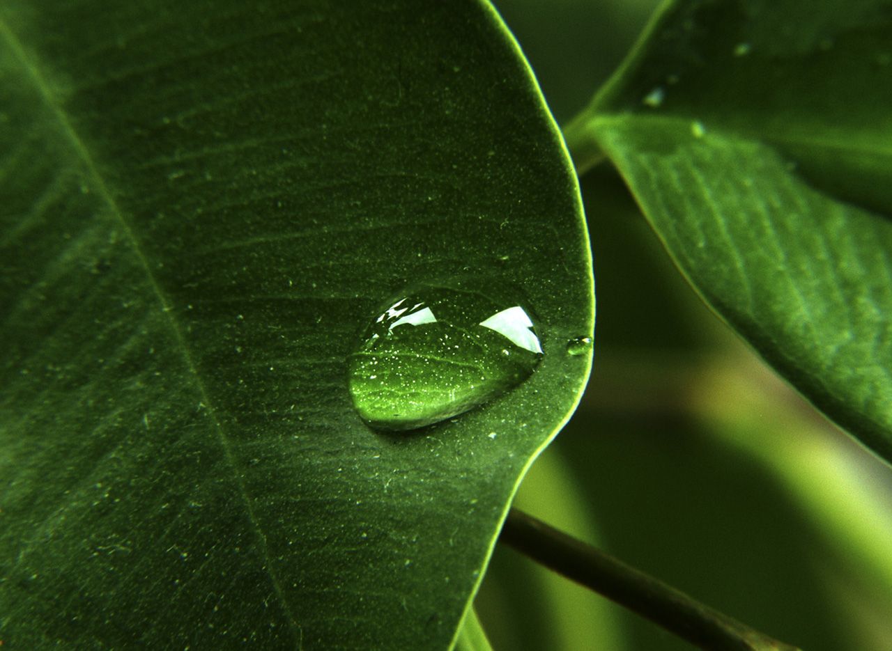 Eco Wallpapers - Wallpaper Cave