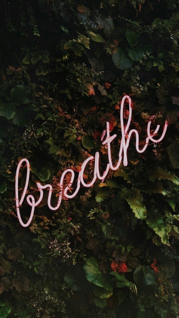 Aesthetic Homescreens Wallpapers - Wallpaper Cave