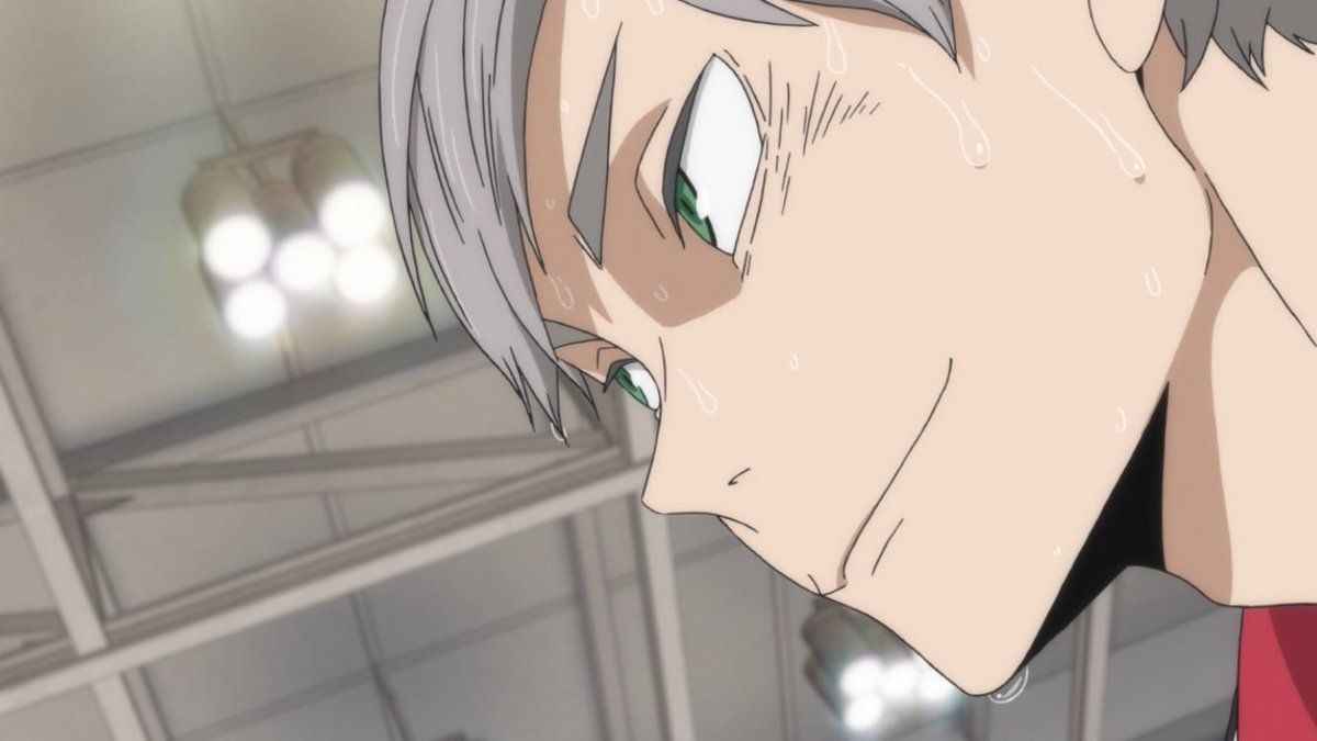 Lev Haiba Wallpapers - Wallpaper Cave