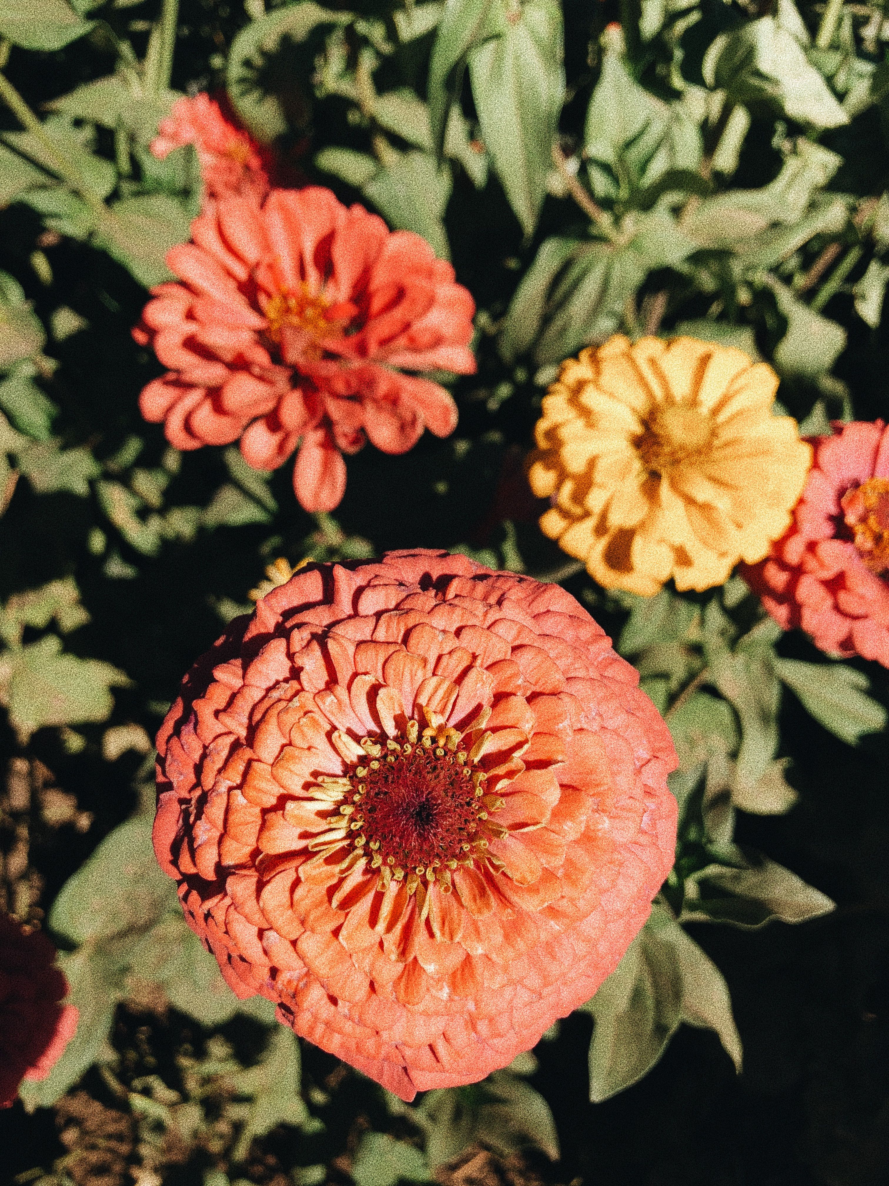 Still Woozy Wallpapers - Wallpaper Cave