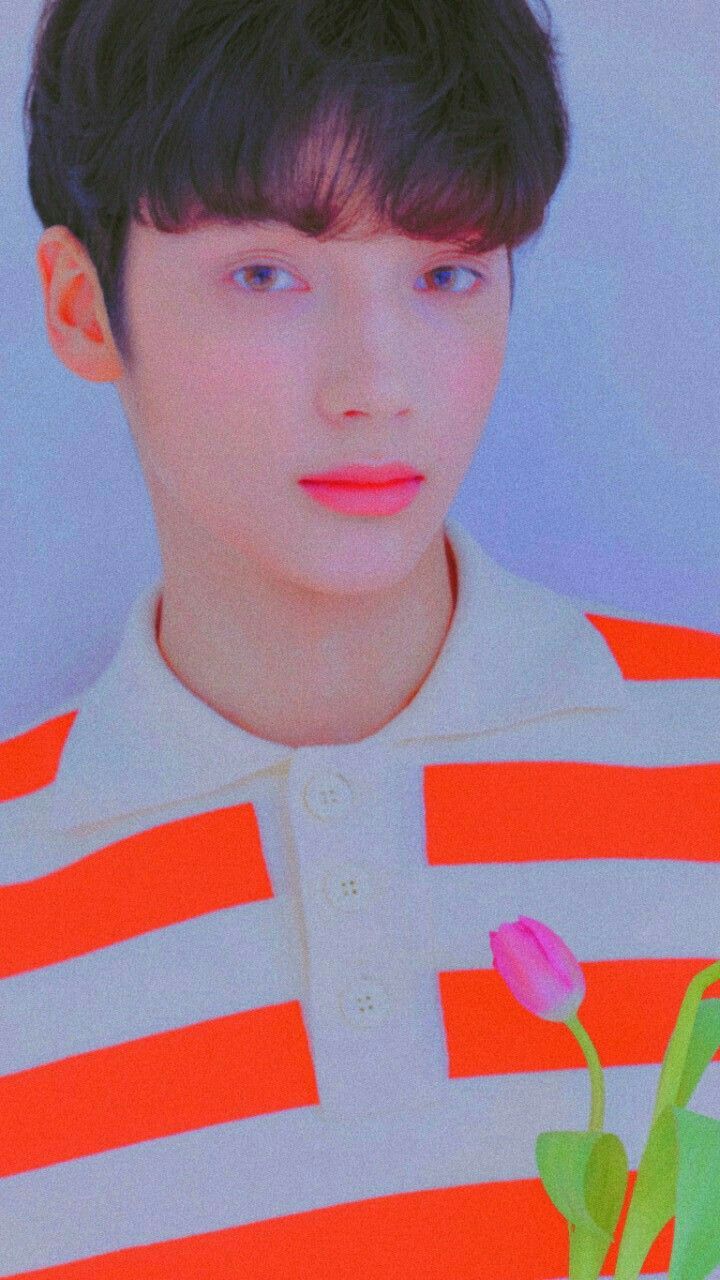 HeuningKai Wallpapers - Wallpaper Cave