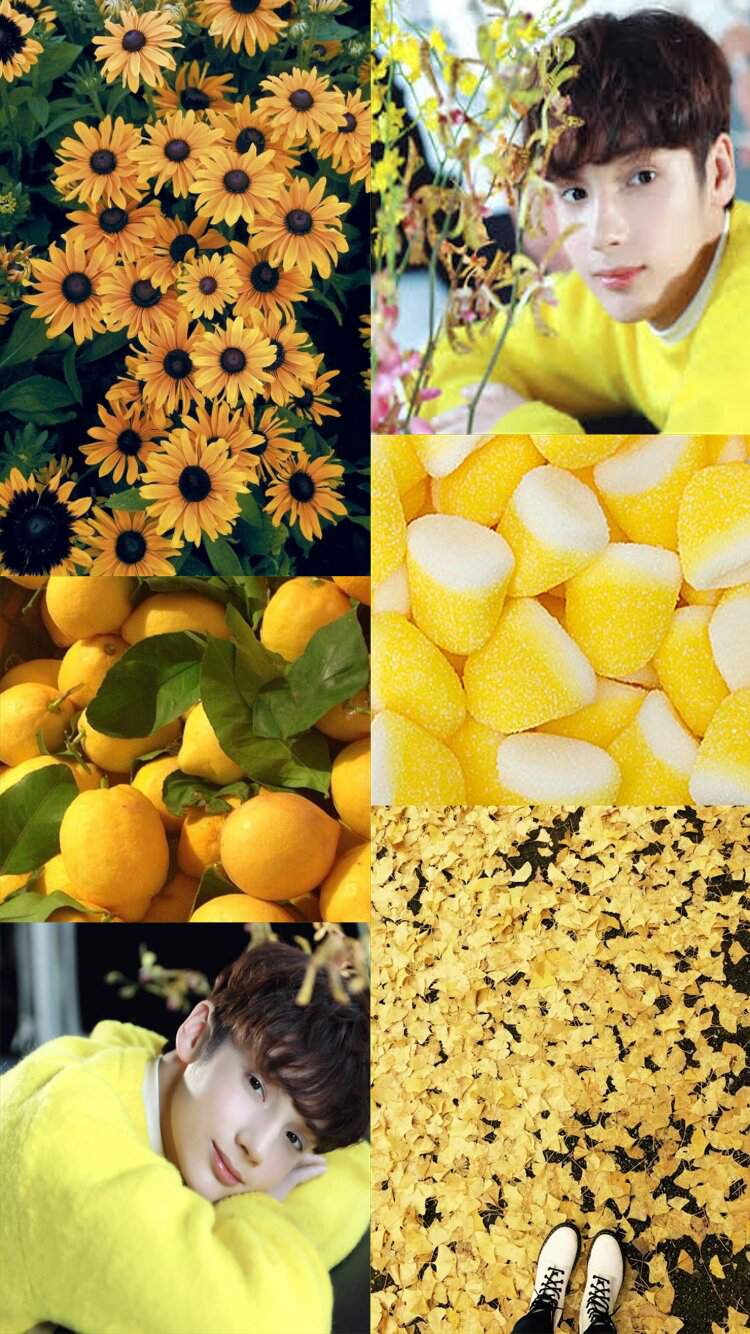 HeuningKai Wallpapers - Wallpaper Cave