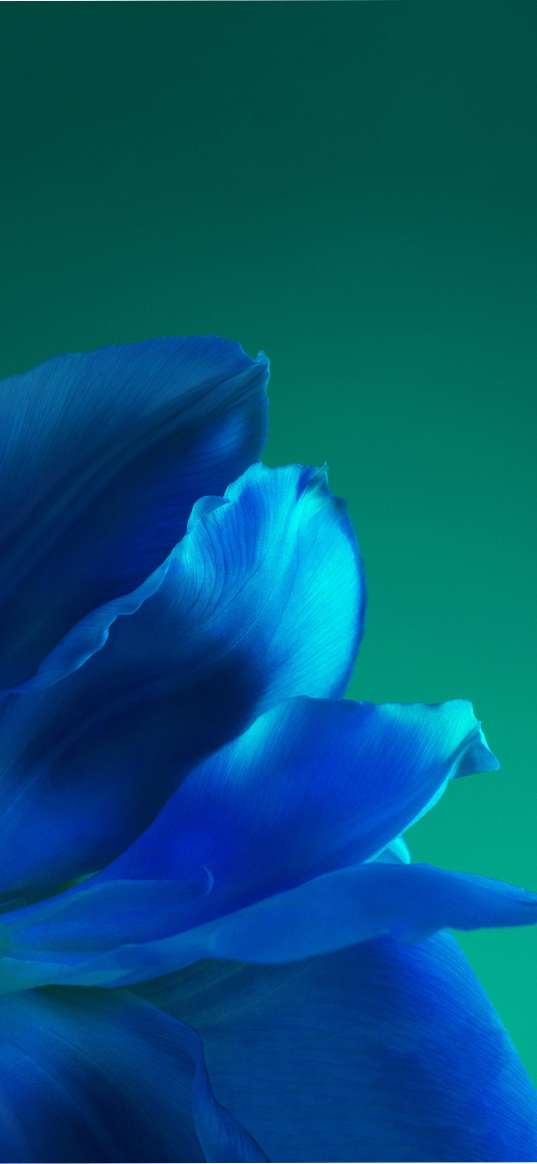 P40 Pro Wallpapers - Wallpaper Cave