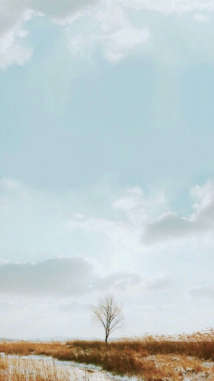 Spring Day BTS Phone Wallpapers - Wallpaper Cave