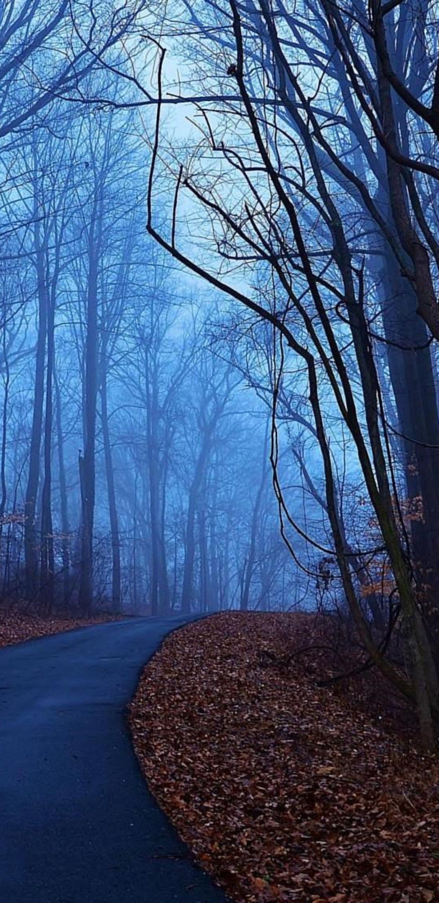 Blue Sky And Road Wallpapers - Wallpaper Cave