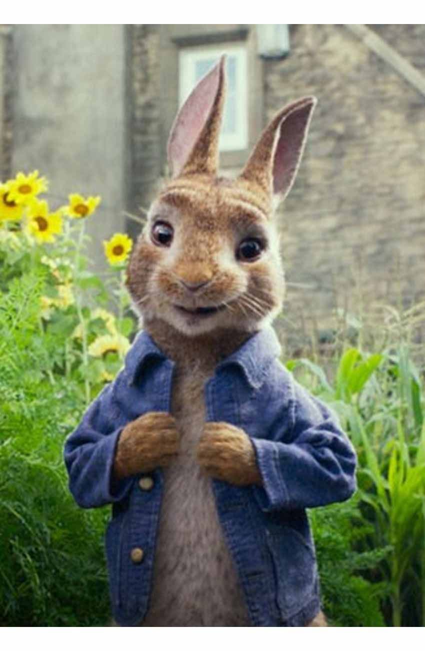 Peter Rabbit 2 Wallpapers - Wallpaper Cave