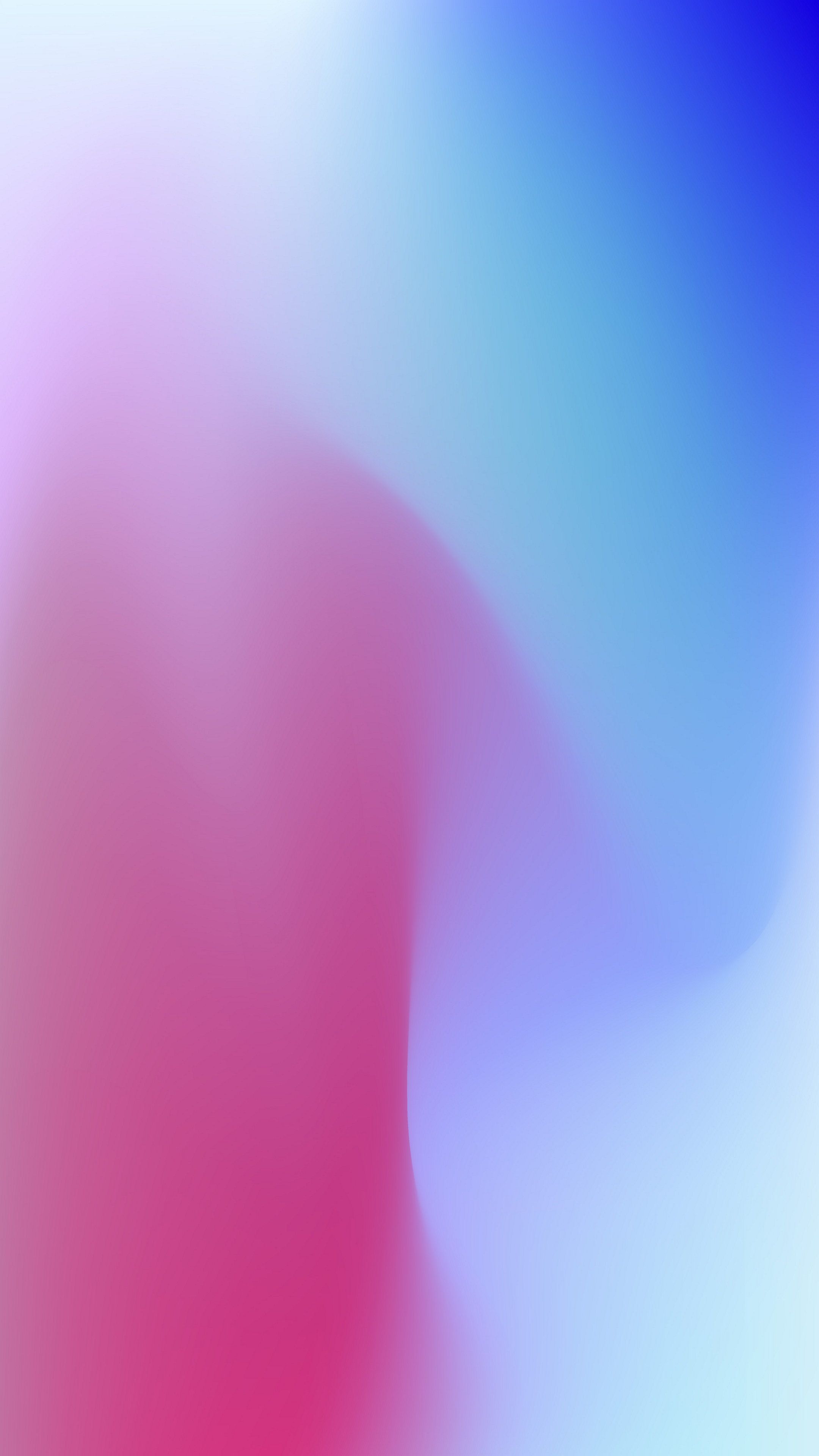 Fuchsia Wallpapers - Wallpaper Cave