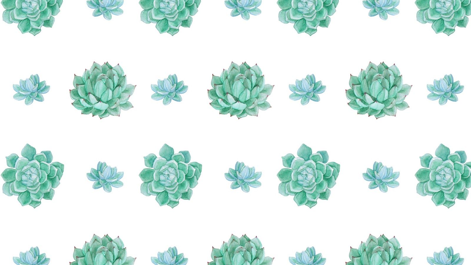 Desktop Succulents Wallpapers - Wallpaper Cave