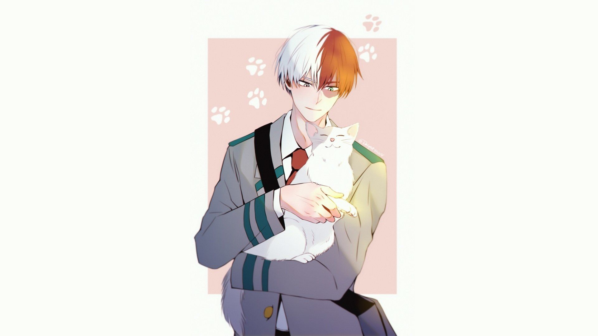 Todoroki As A Cat Wallpapers - Wallpaper Cave
