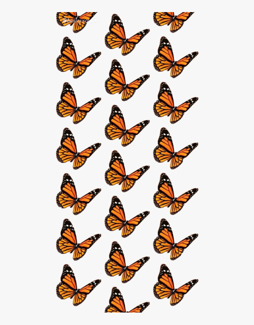 VSCO Orange Butterflies Wallpapers - Wallpaper Cave