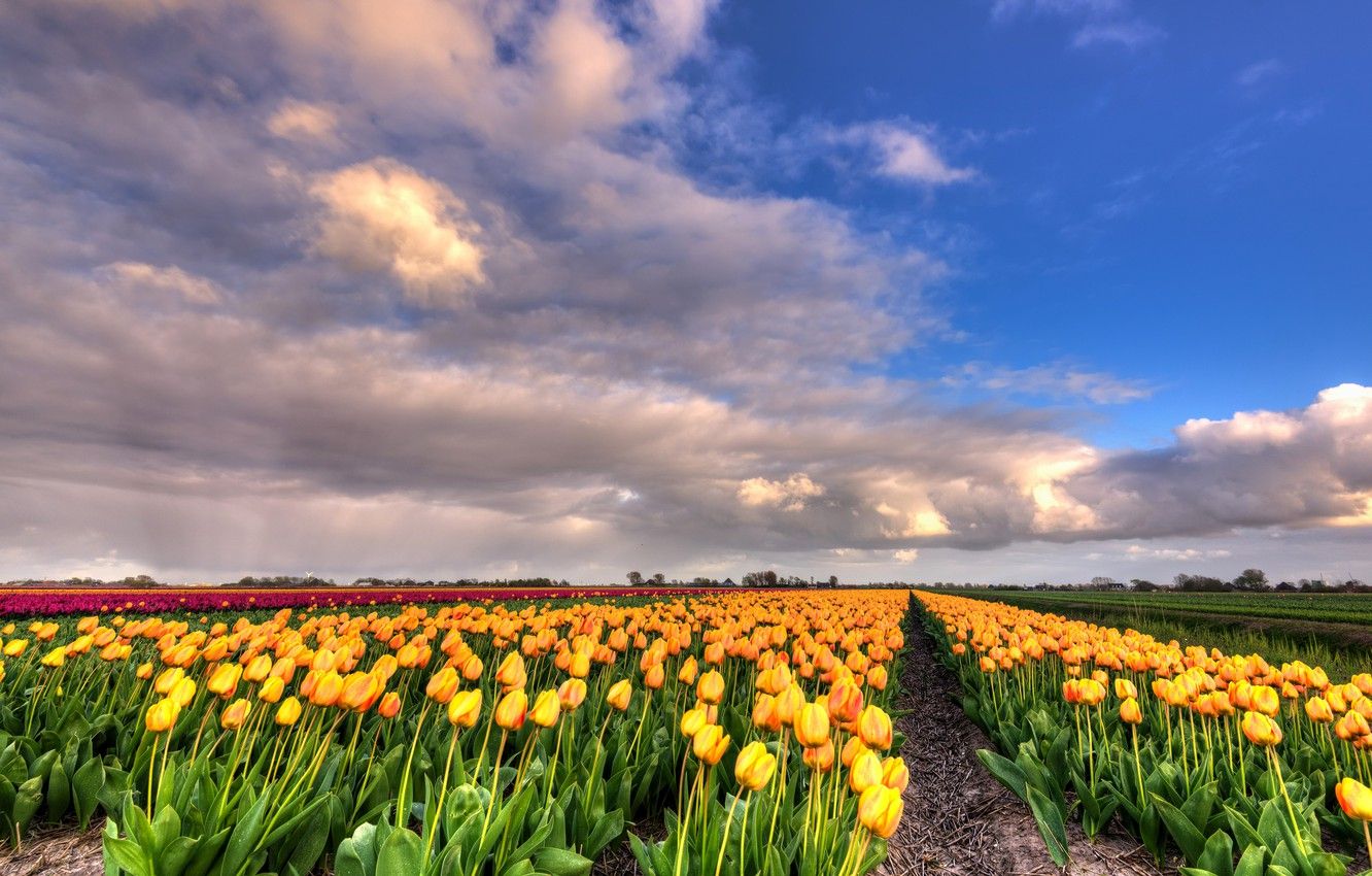 Spring Perspective Wallpapers - Wallpaper Cave