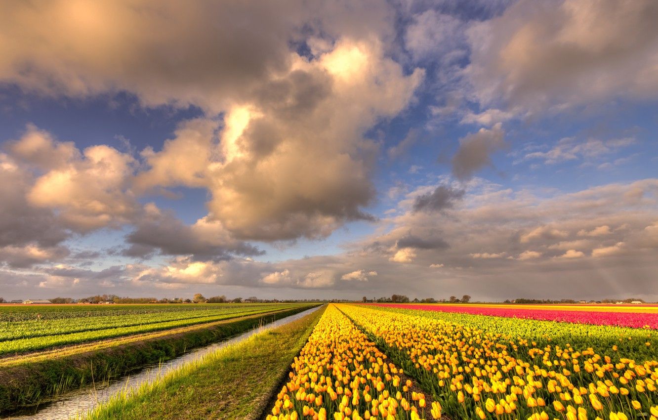 Spring Perspective Wallpapers - Wallpaper Cave