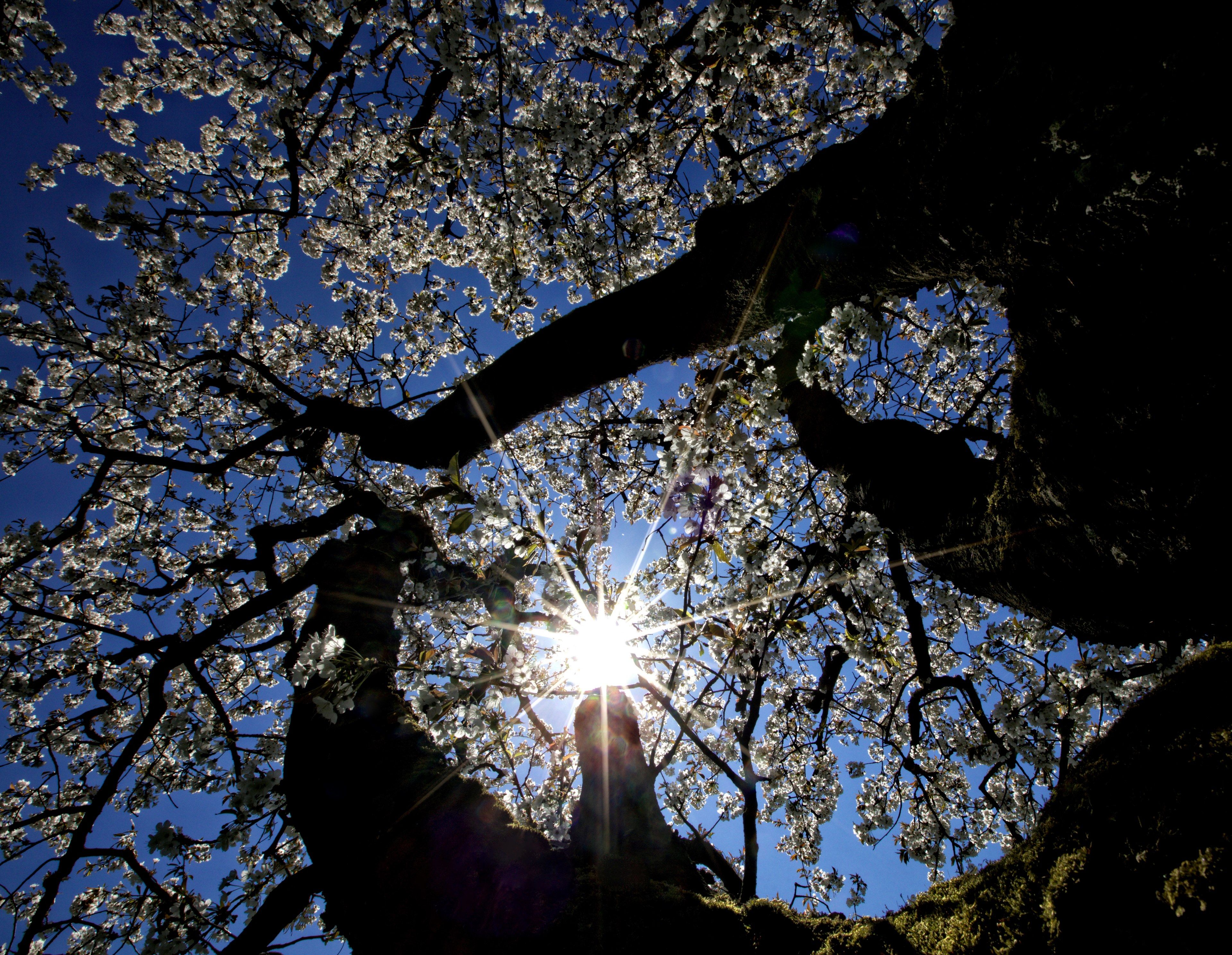 Spring Perspective Wallpapers - Wallpaper Cave