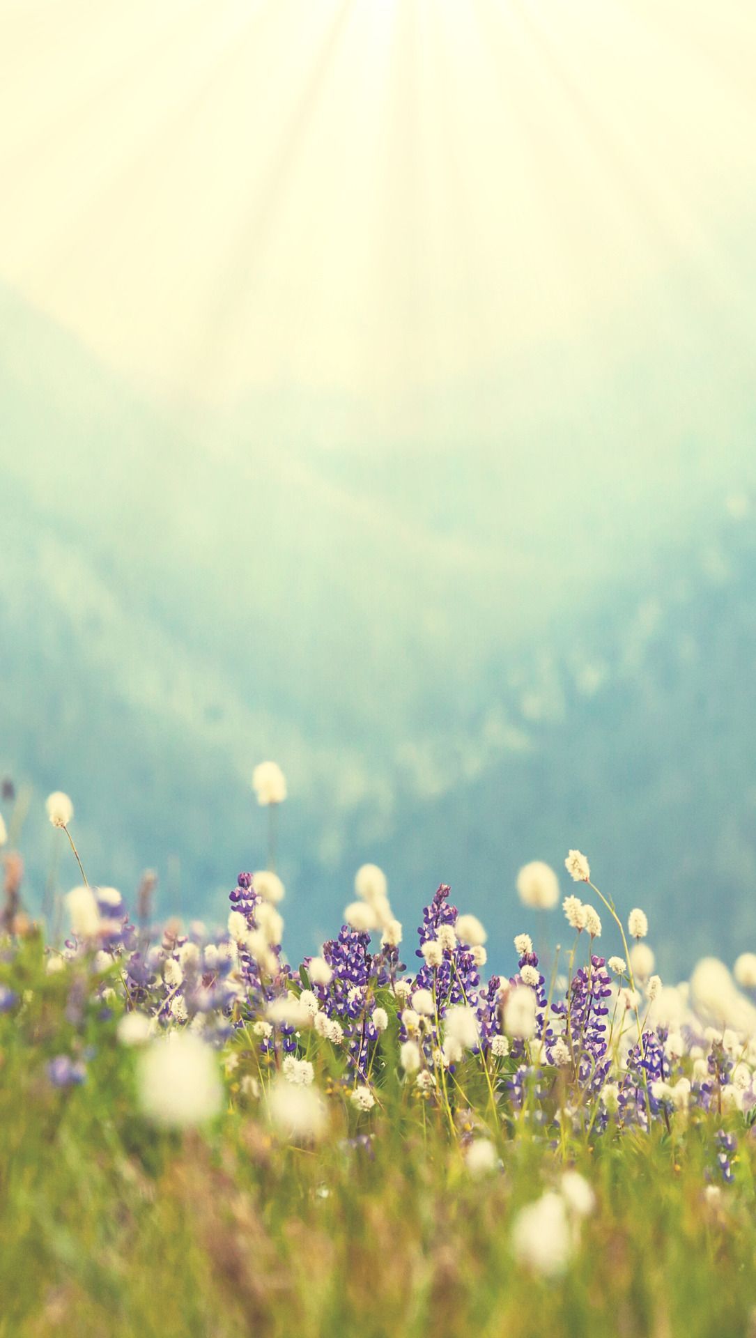 Spring Perspective Wallpapers - Wallpaper Cave