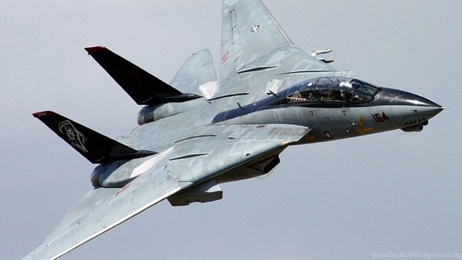 Tomcat Wallpapers - Wallpaper Cave