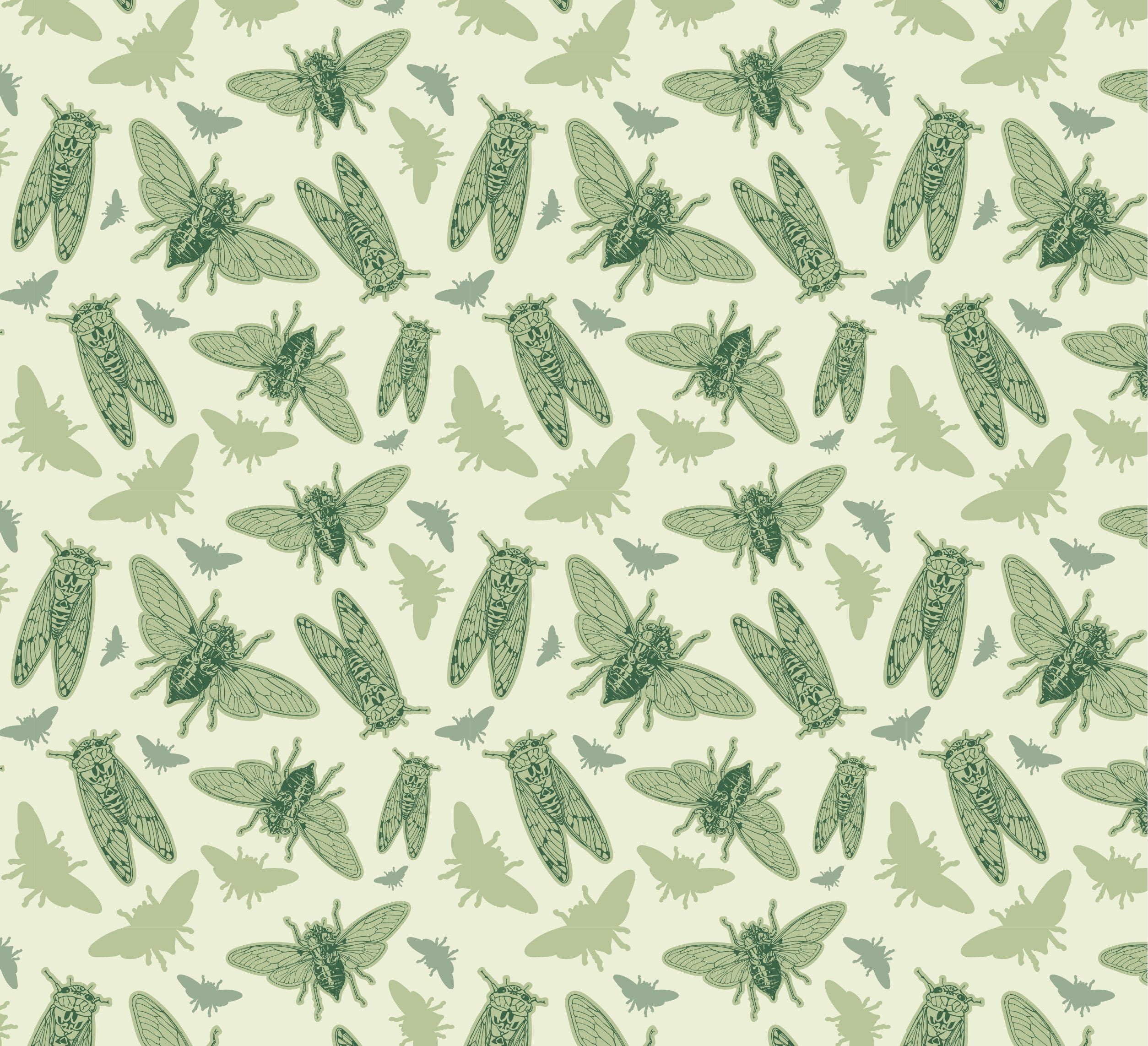 Cicadas Wallpapers - Wallpaper Cave