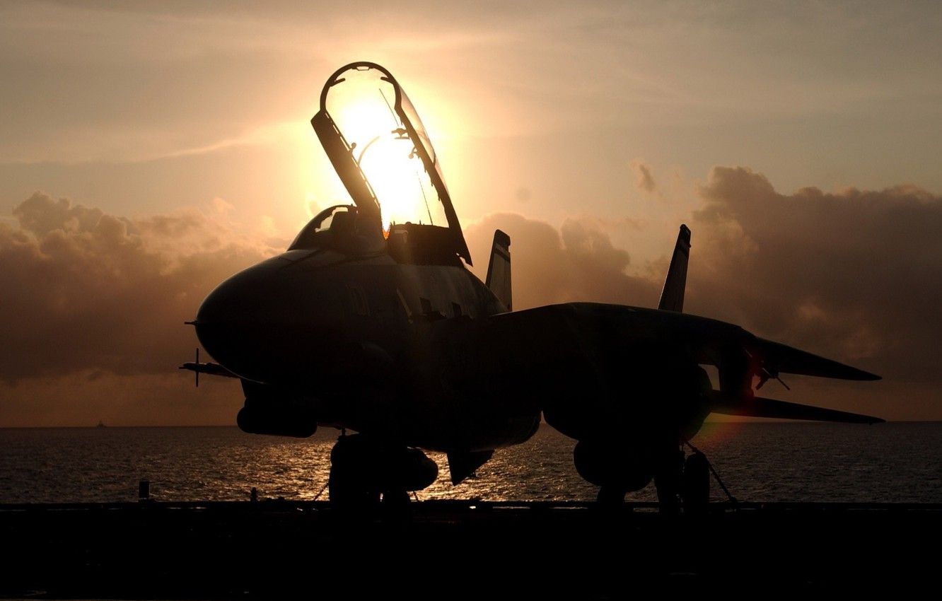 Tomcat Wallpapers - Wallpaper Cave