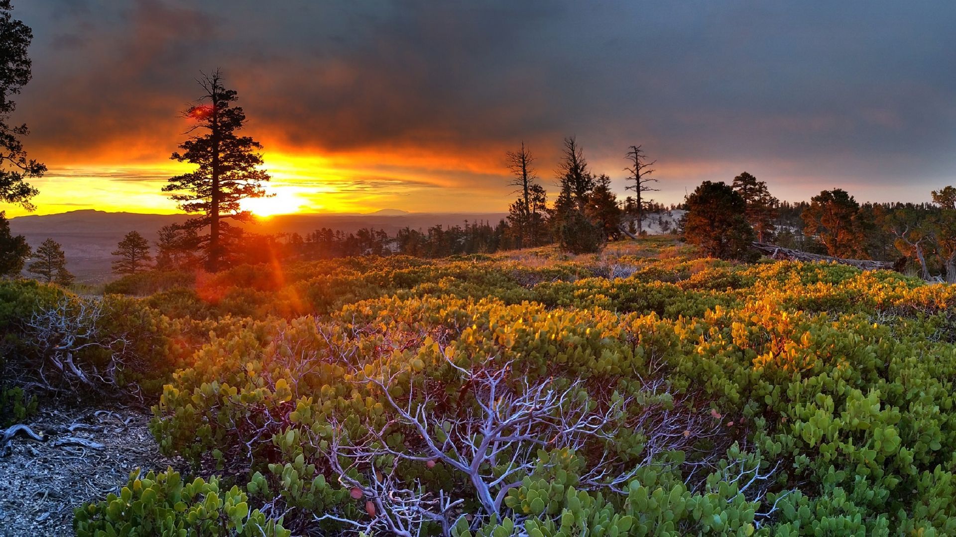 Sunrise Landscape Wallpapers - Wallpaper Cave