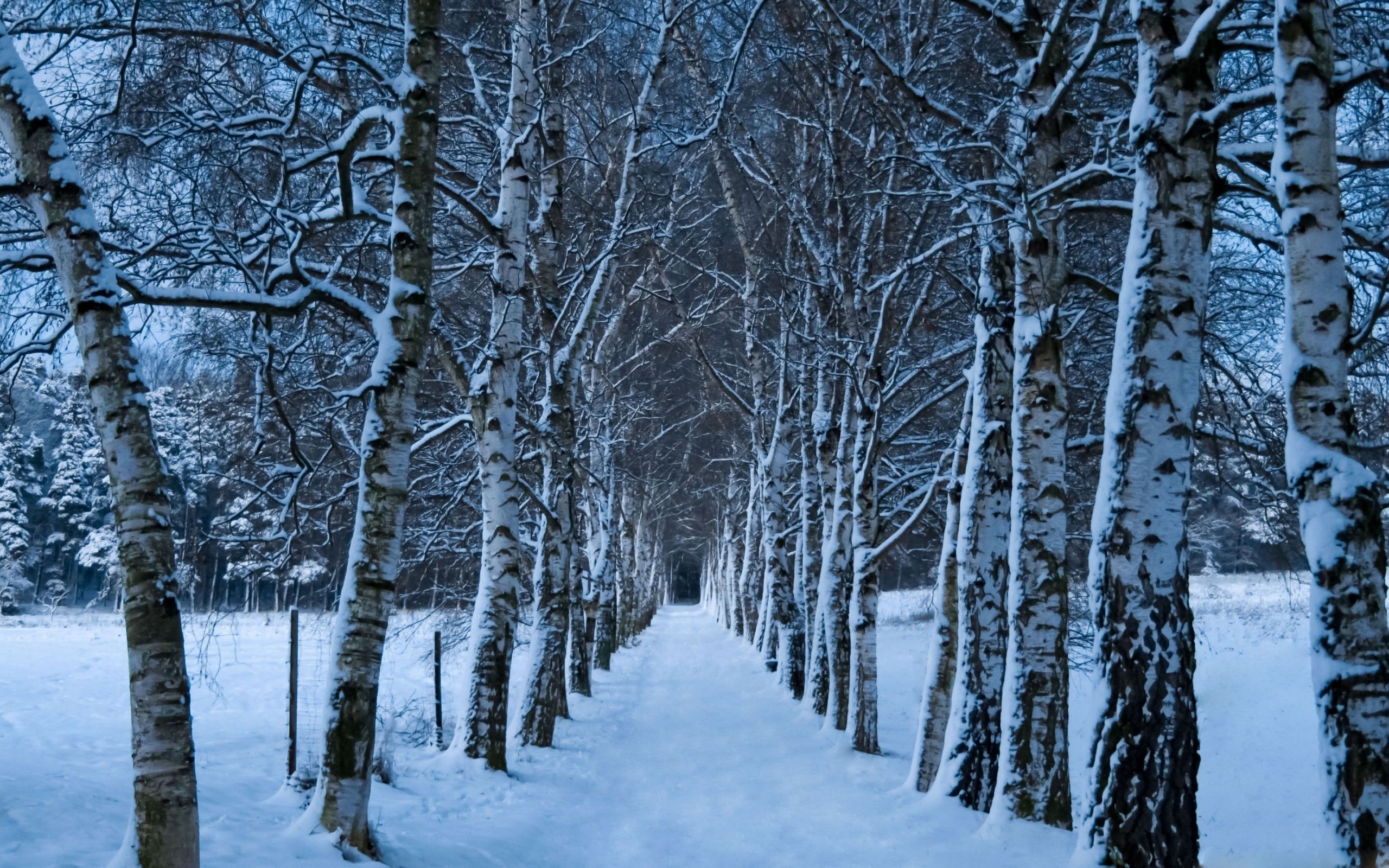 Winter Alley Wallpapers - Wallpaper Cave