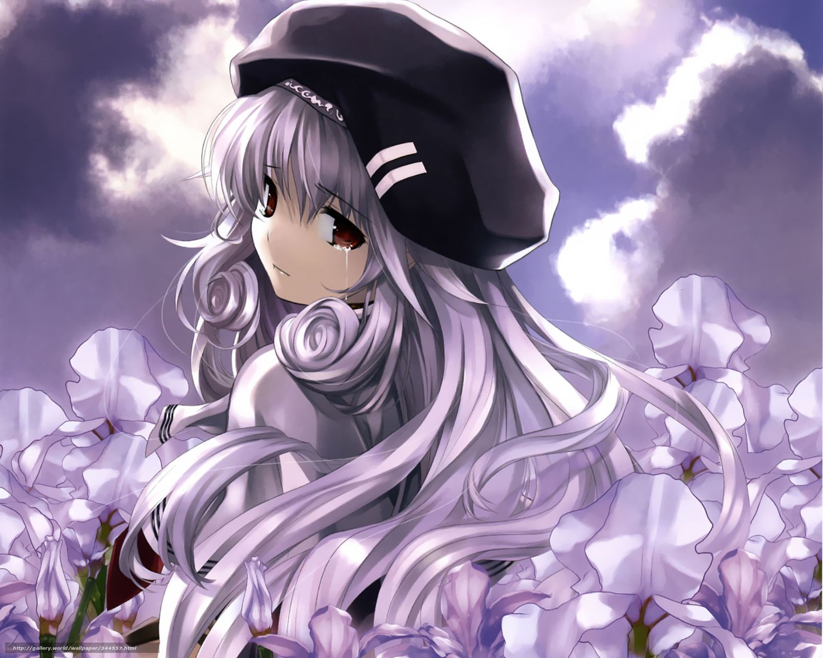 Iris Flower Anime Wallpapers - Wallpaper Cave