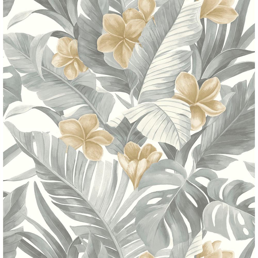 Anthurium Hydrangea Wallpapers - Wallpaper Cave