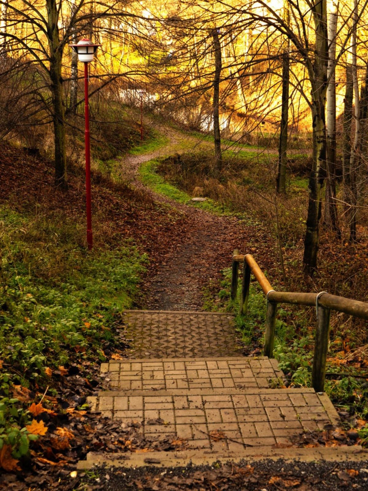 Nature Mobile Wallpapers - Wallpaper Cave