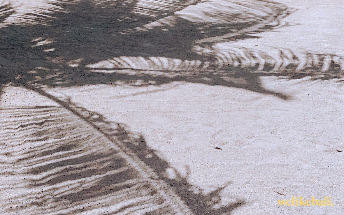 Sunkissed Wallpapers - Wallpaper Cave