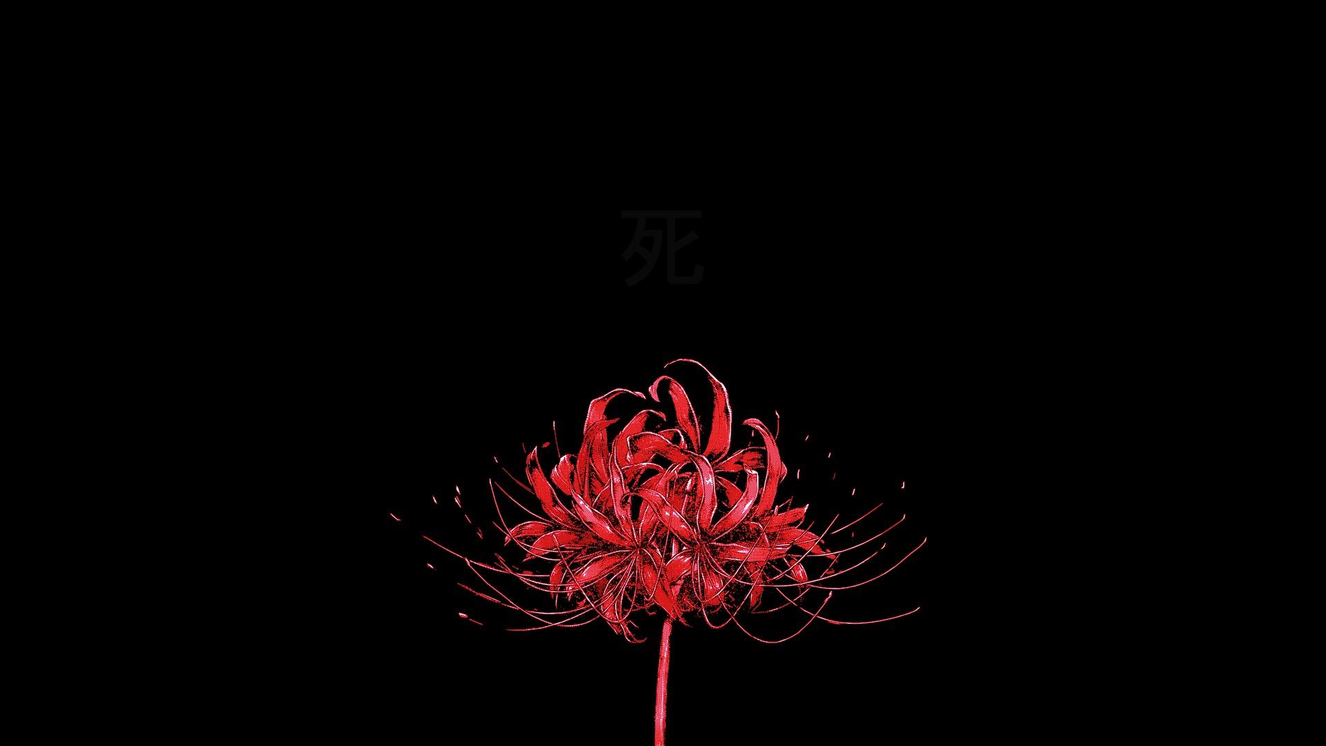 Red Spider Lily Wallpapers Wallpaper Cave