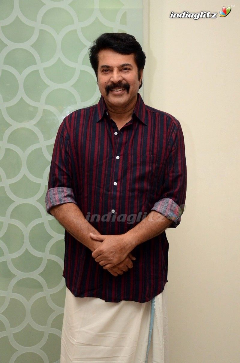 Mammukka Wallpapers - Wallpaper Cave