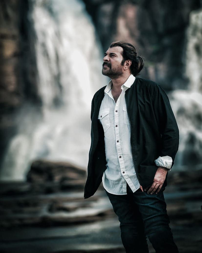 Mammukka Wallpapers - Wallpaper Cave