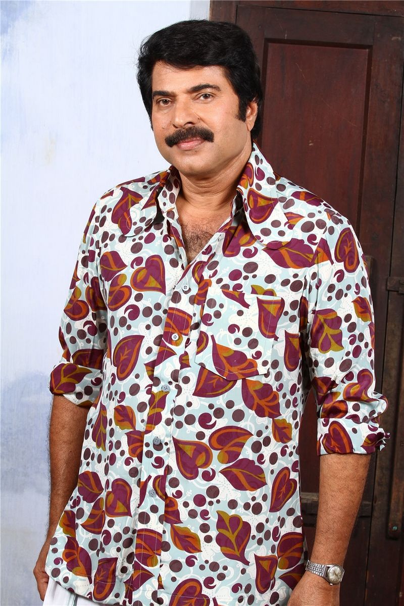 Mammukka Wallpapers - Wallpaper Cave