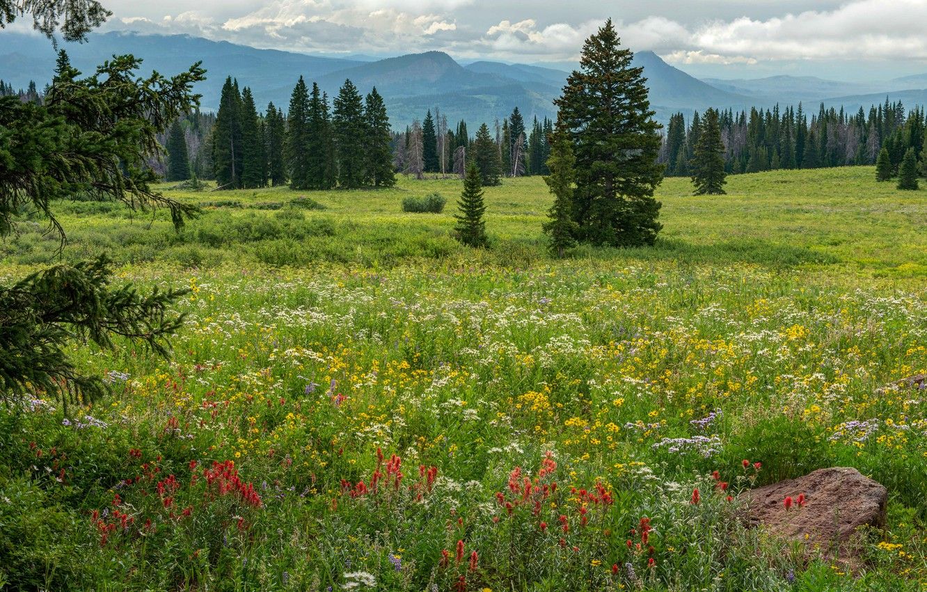 Colorado Mountains Summer Wallpapers - Wallpaper Cave