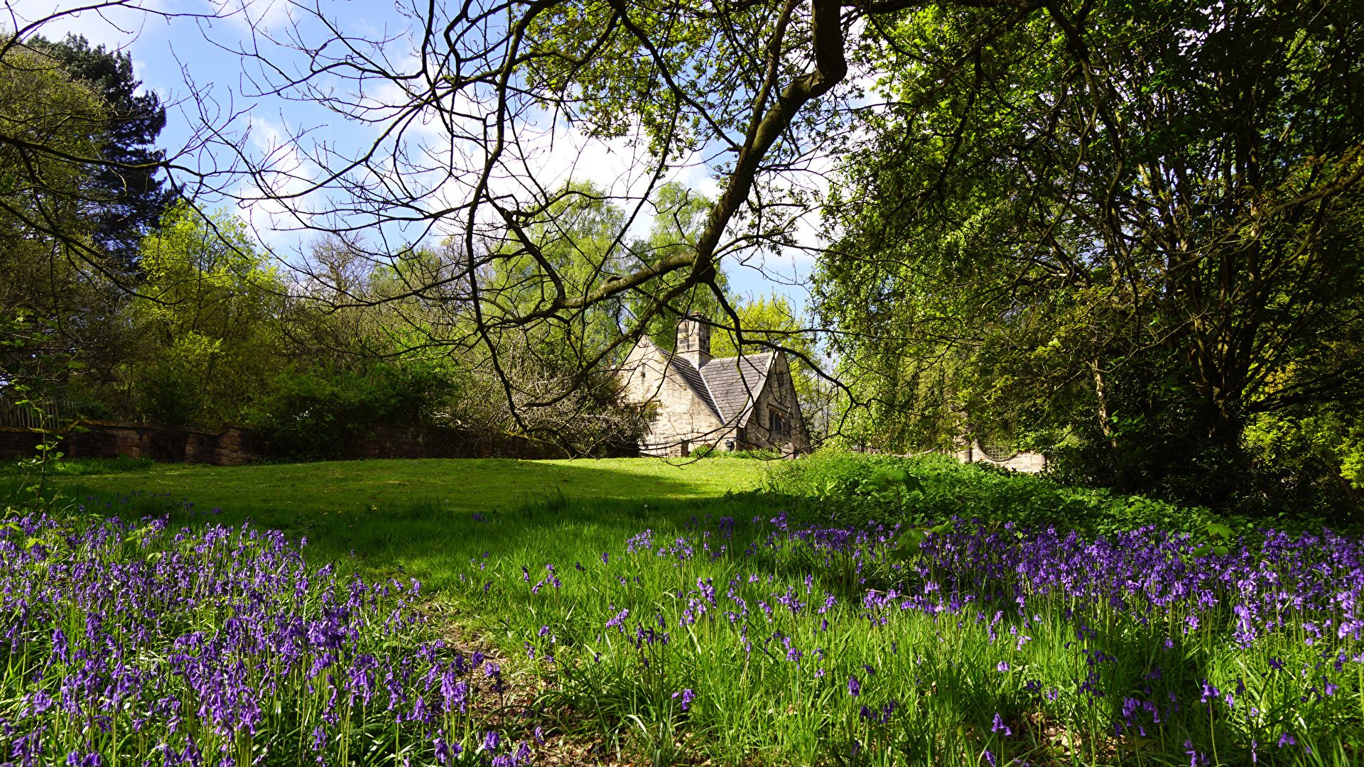 Country Meadow Wallpapers - Wallpaper Cave