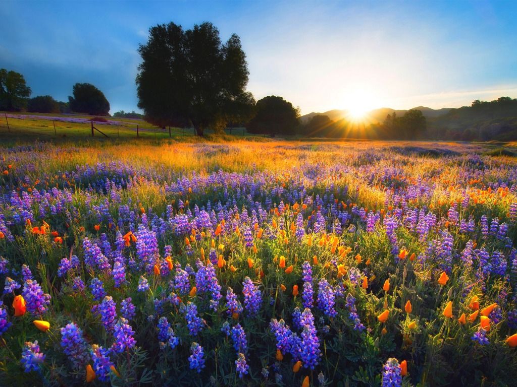 Spring Sunset Wallpapers - Wallpaper Cave