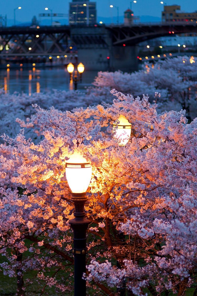 Spring Evening Wallpapers - Wallpaper Cave