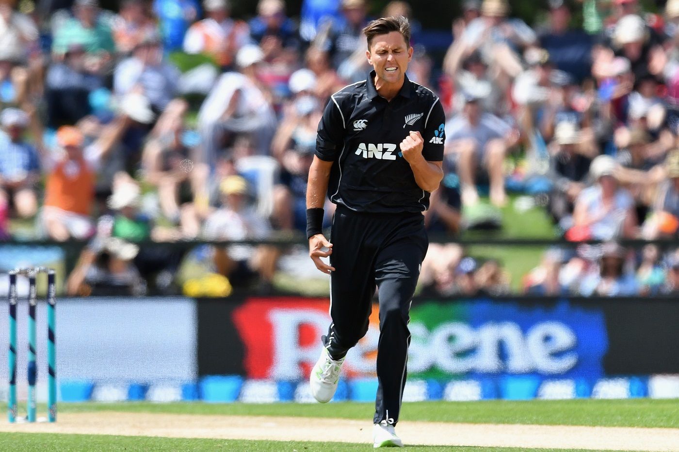 Trent Boult Wallpapers - Wallpaper Cave