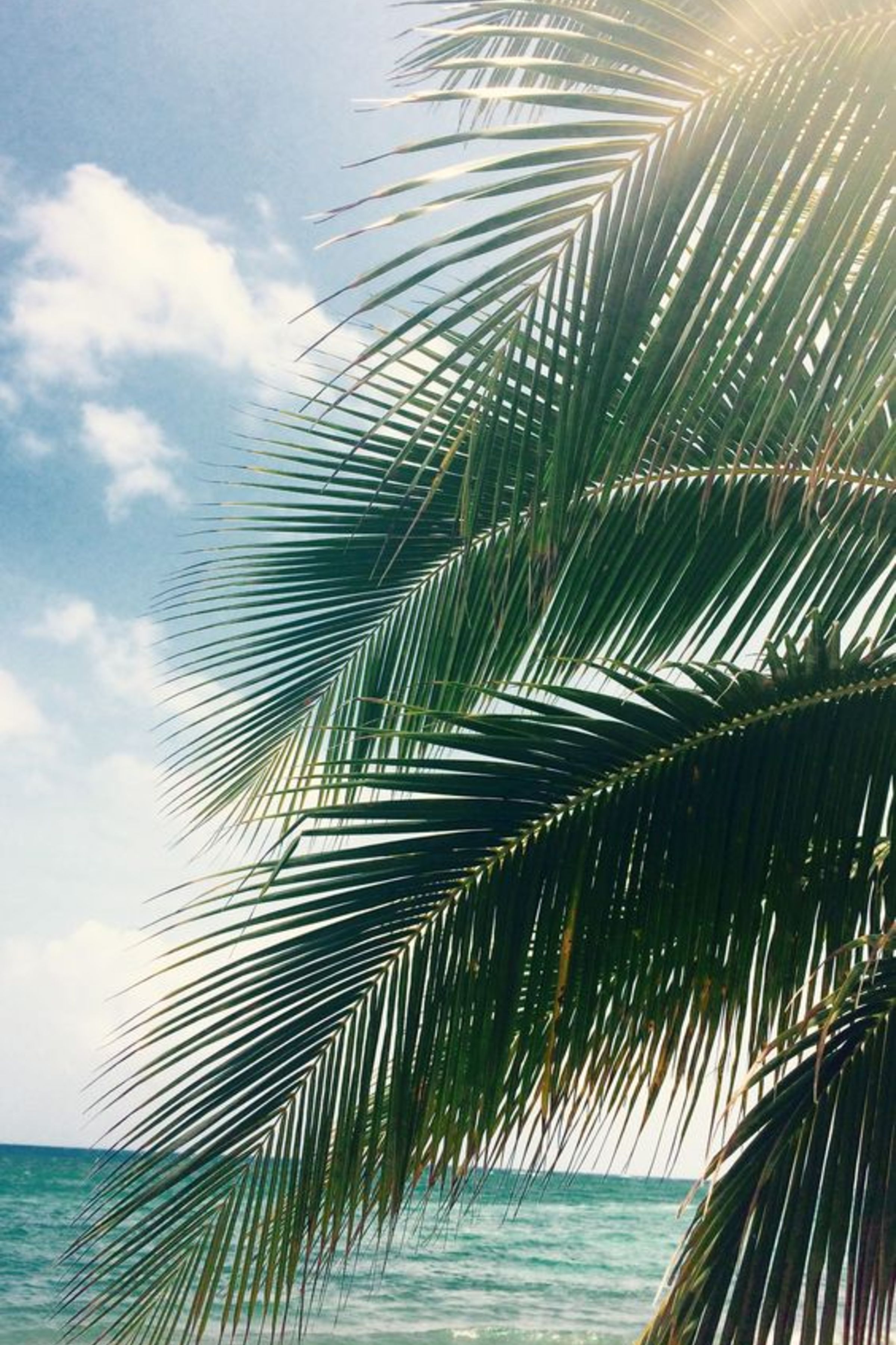 2020 Summer Vibes Wallpapers - Wallpaper Cave