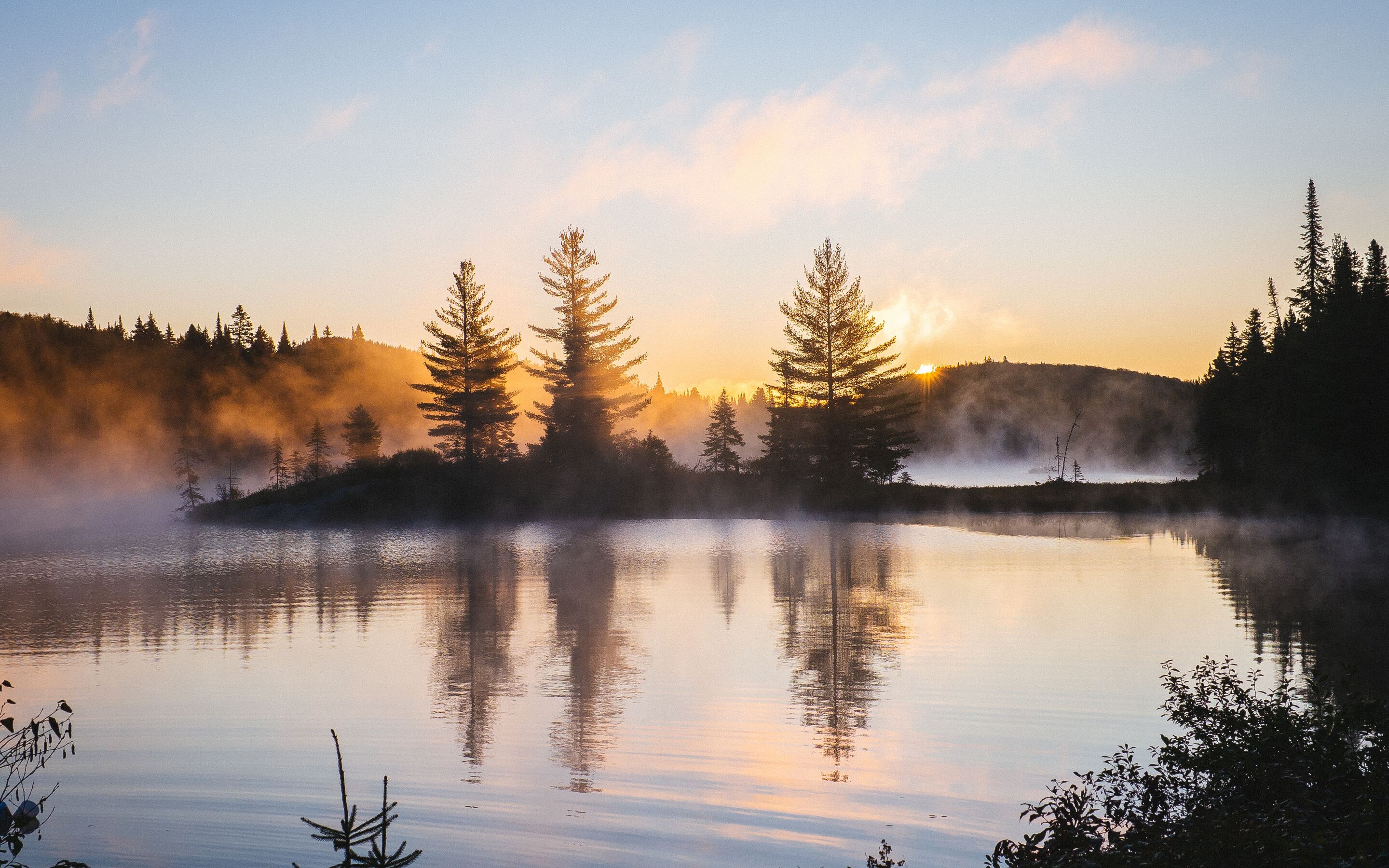 Reflections Trees Wallpapers - Wallpaper Cave