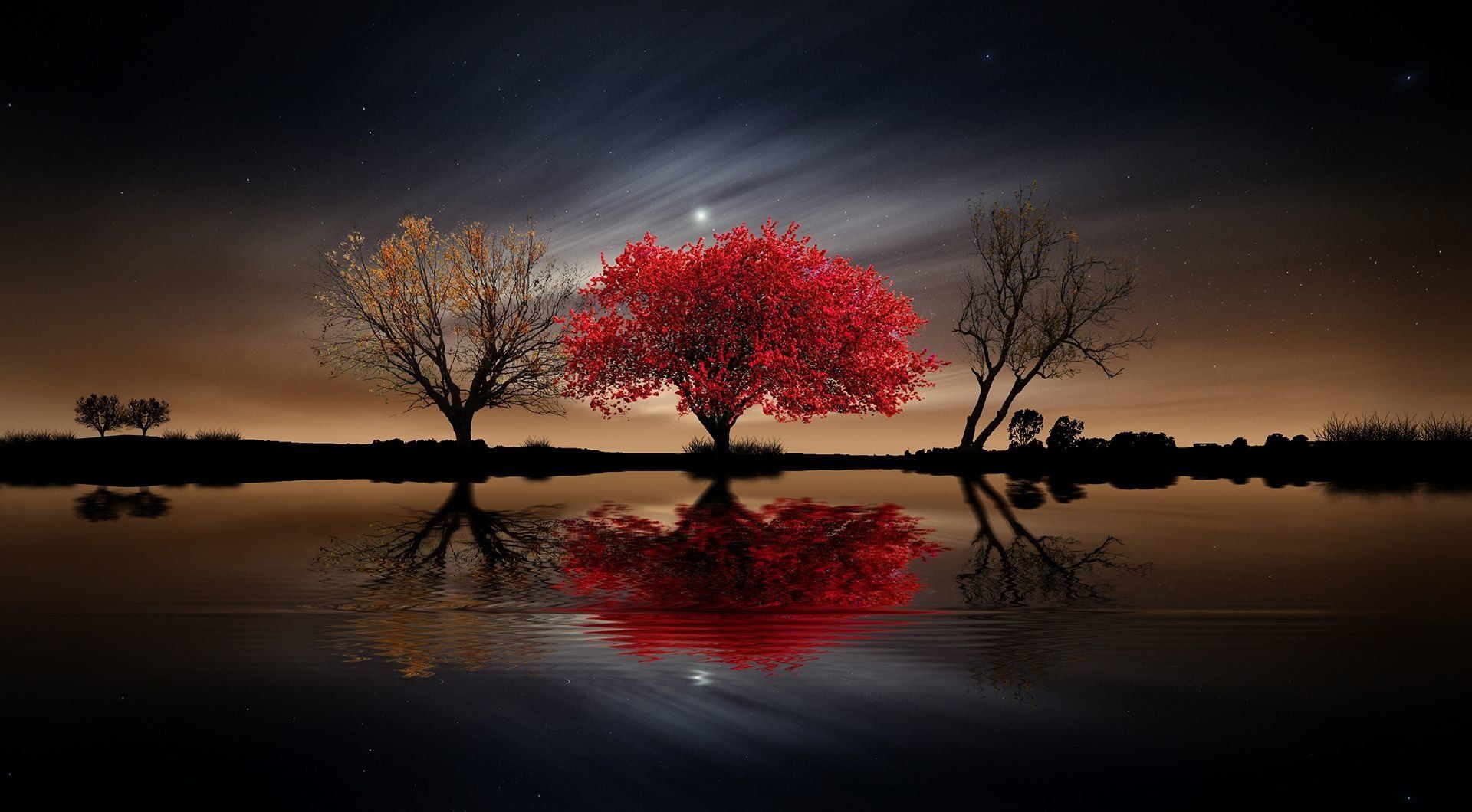 Reflections Trees Wallpapers - Wallpaper Cave