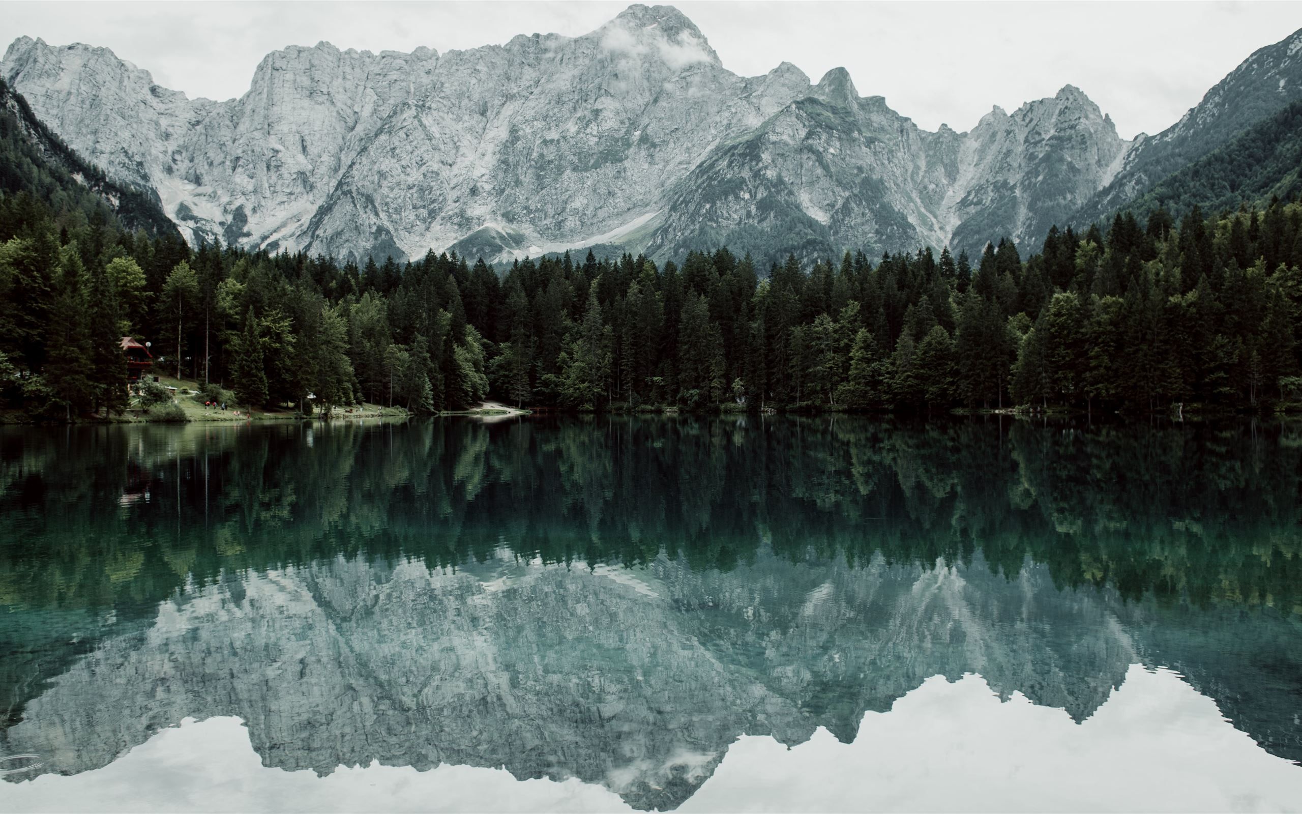 Reflections Trees Wallpapers - Wallpaper Cave