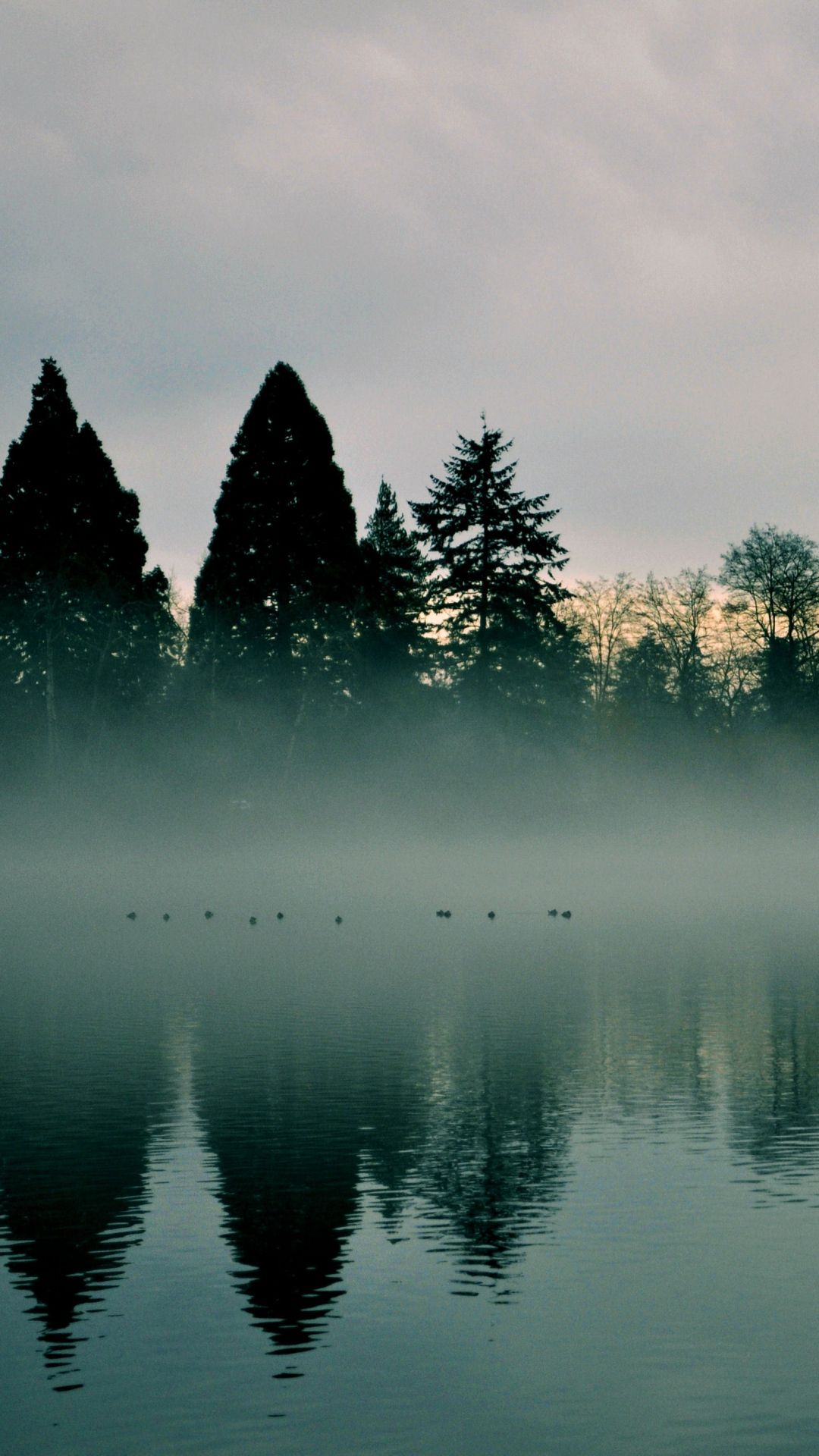 Reflections Trees Wallpapers - Wallpaper Cave