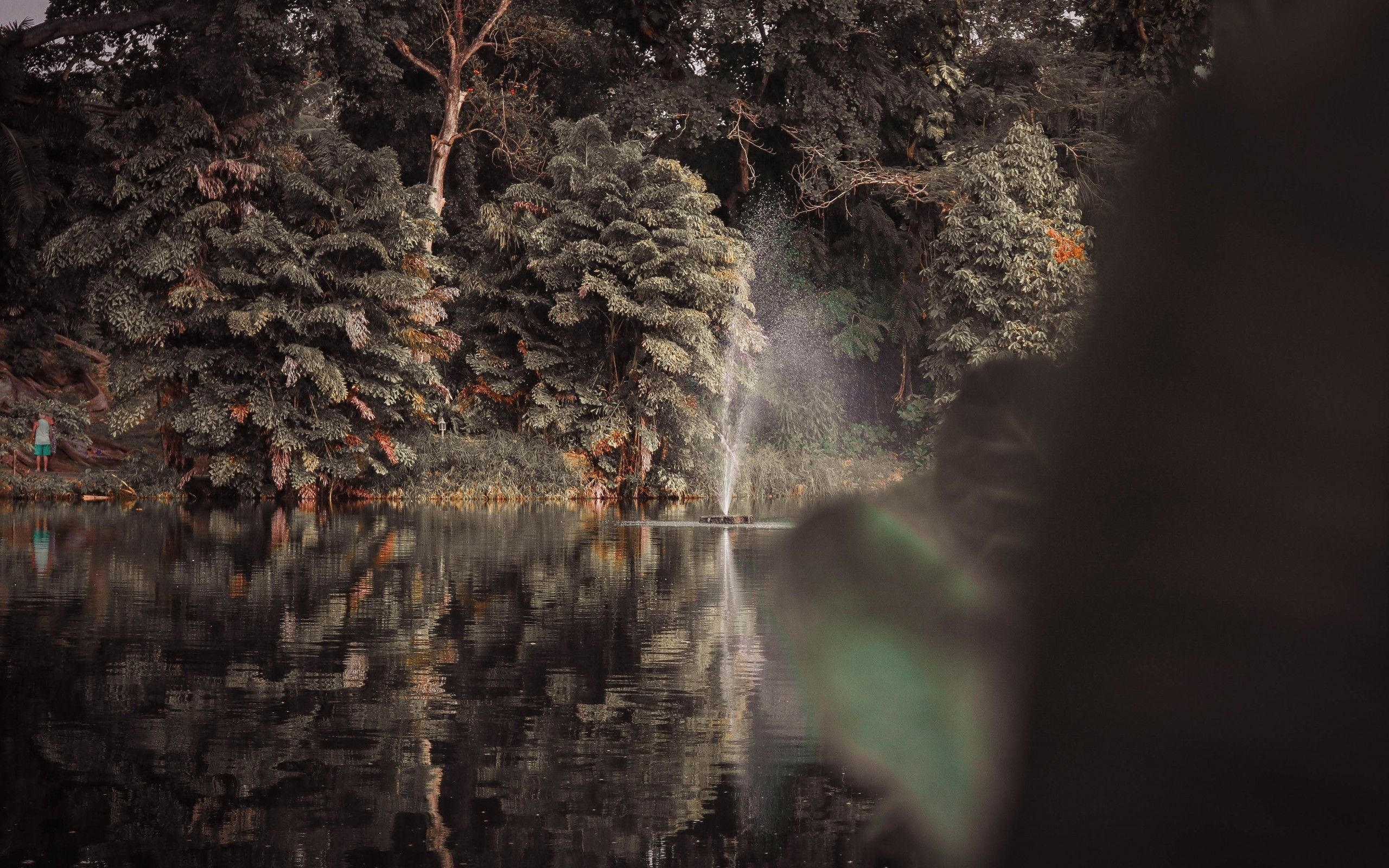 Reflections Trees Wallpapers - Wallpaper Cave