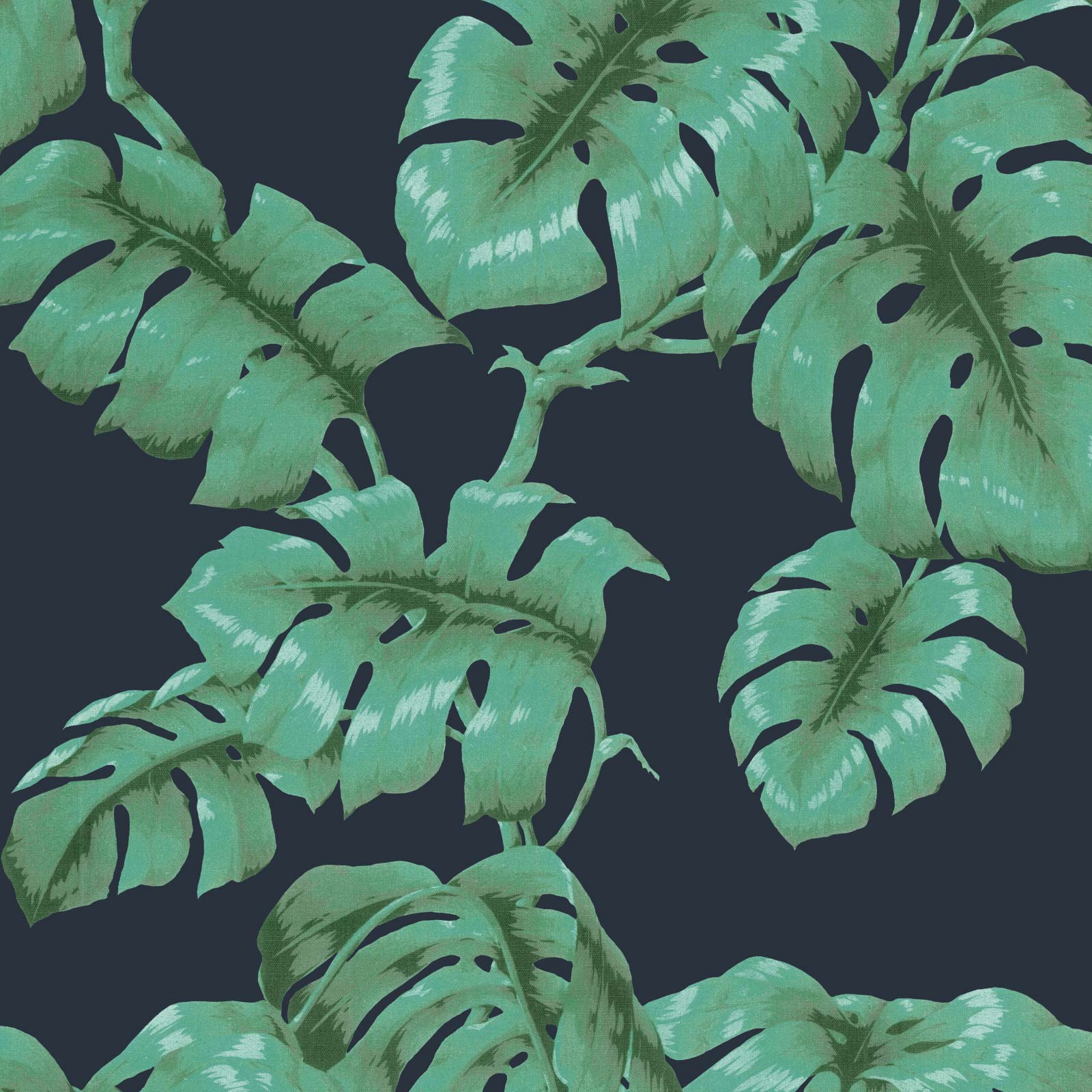 Monstera Deliciosa Wallpapers - Wallpaper Cave