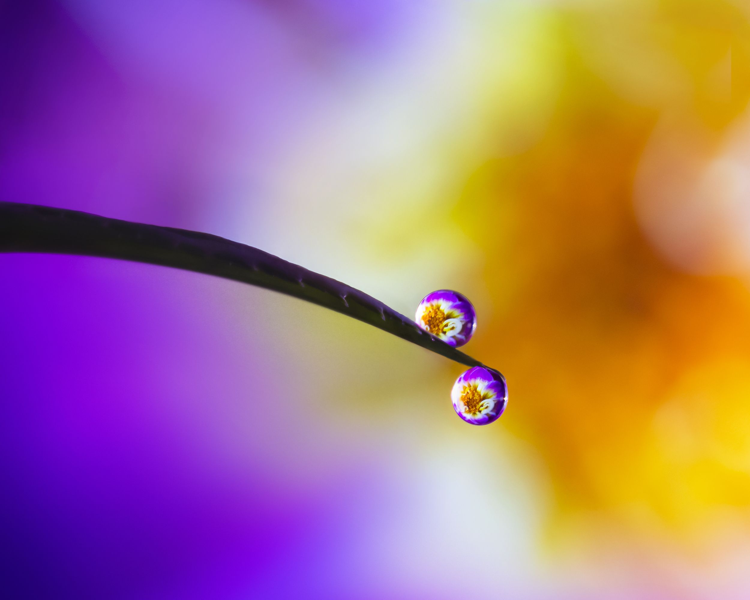Drops Water Surface Macro Blur Wallpapers - Wallpaper Cave